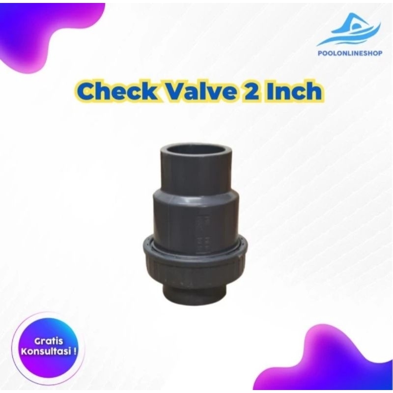 Jual Check Valve PVC 2 Inch / PVC 2Inch | Shopee Indonesia