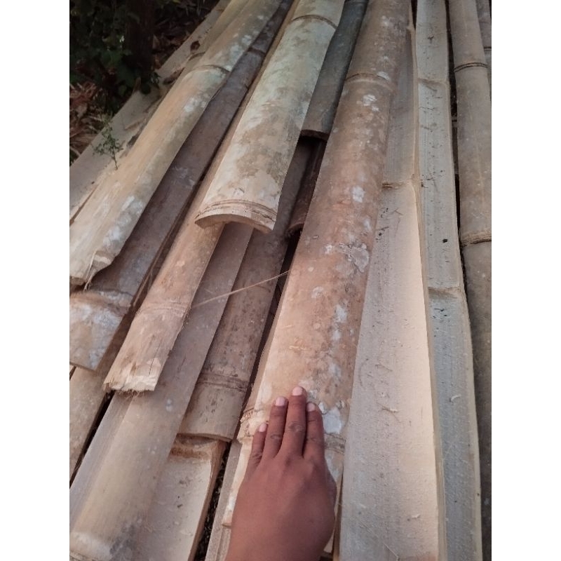 Jual Bambu petung bahan layangan gapangan/ram-raman/tanggalan 200 cm ...