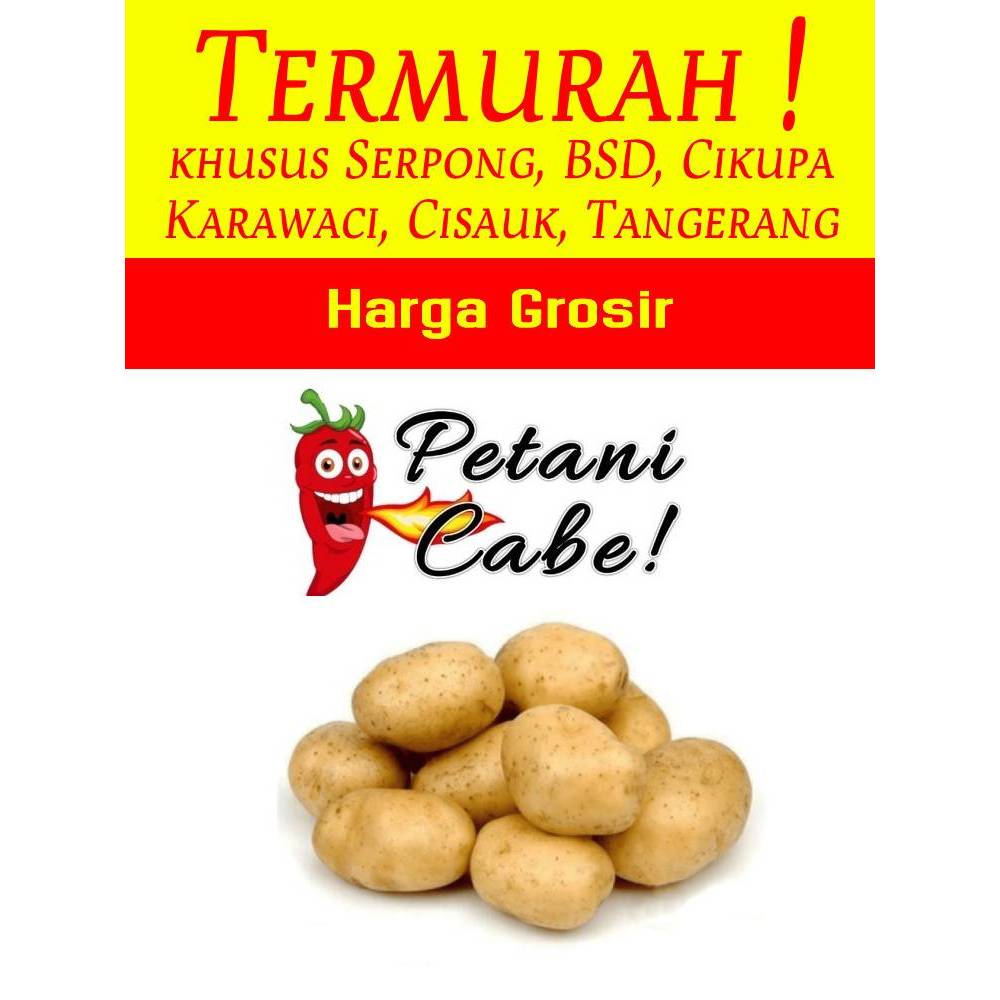 Jual Kentang Ukuran Besar 1 kg Harga Grosir (Petani Cabe Serpong ...