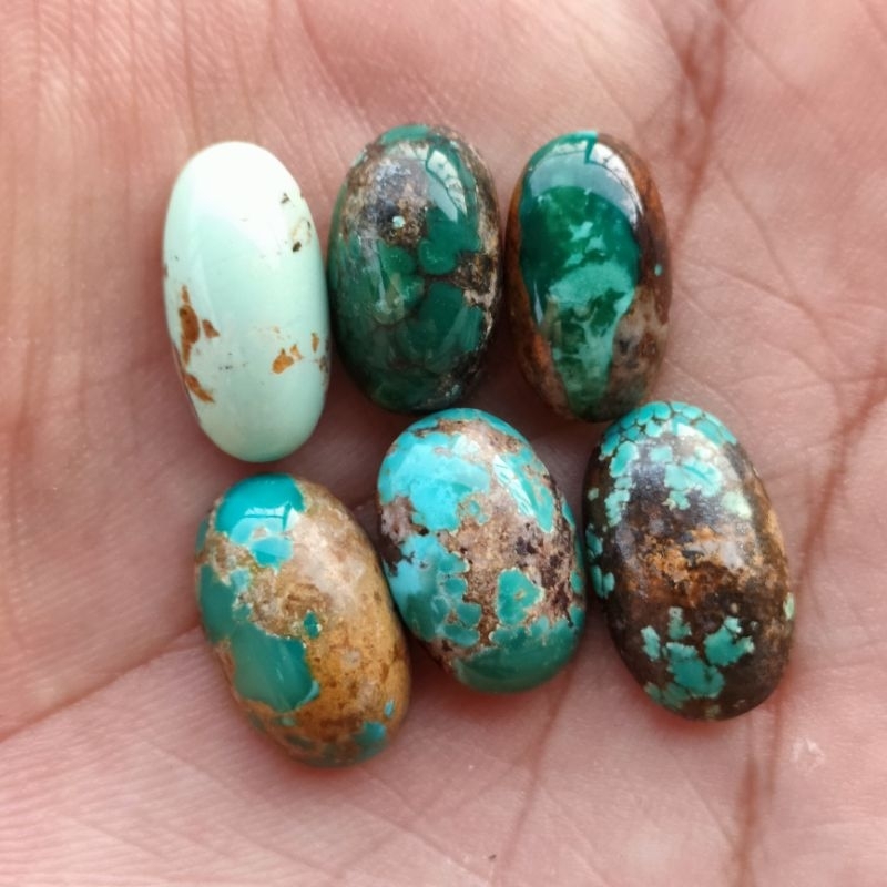 Jual NATURAL PIRUS PERSI,PIRUS IRAN | Shopee Indonesia