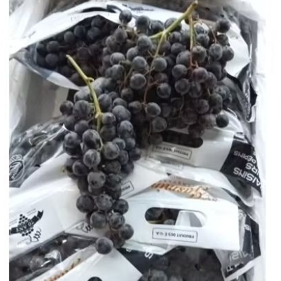 Jual anggur black autumn seedless(tanpa biji) | Shopee Indonesia