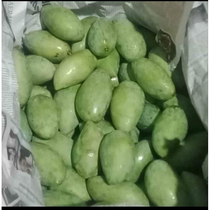 Jual mangga muda 1kg | Shopee Indonesia