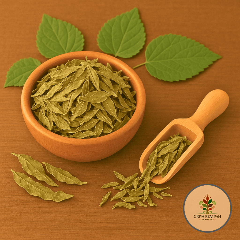 Jual DAUN TALOK KERING 500 GRAM Kersen Kresen Rempah Herbal Simplisia ...