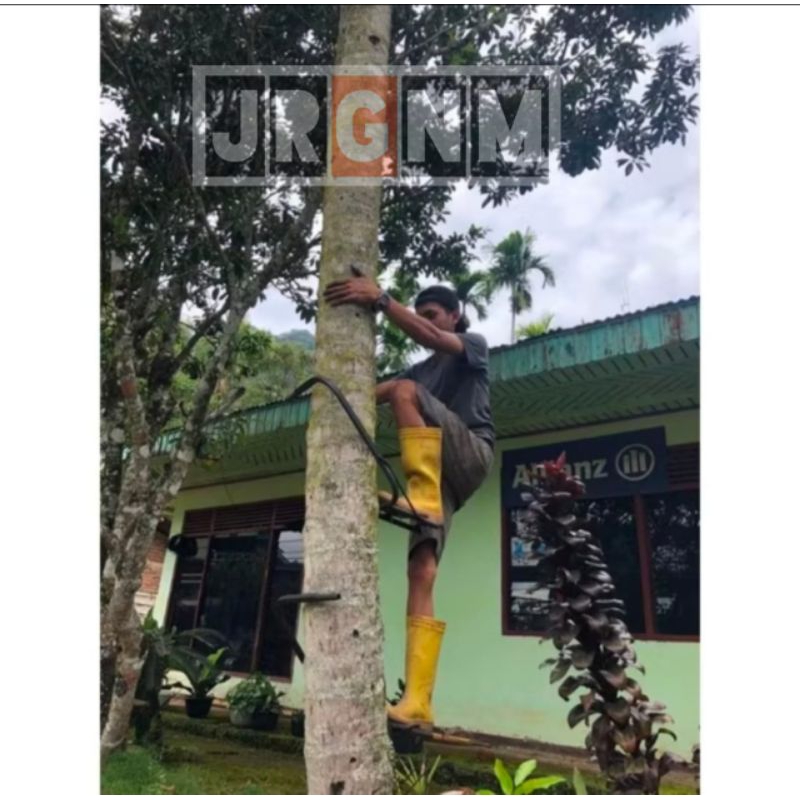 Jual Alat Panjat Pohon Kelapa Biar Mudah Dan Praktis | Shopee Indonesia