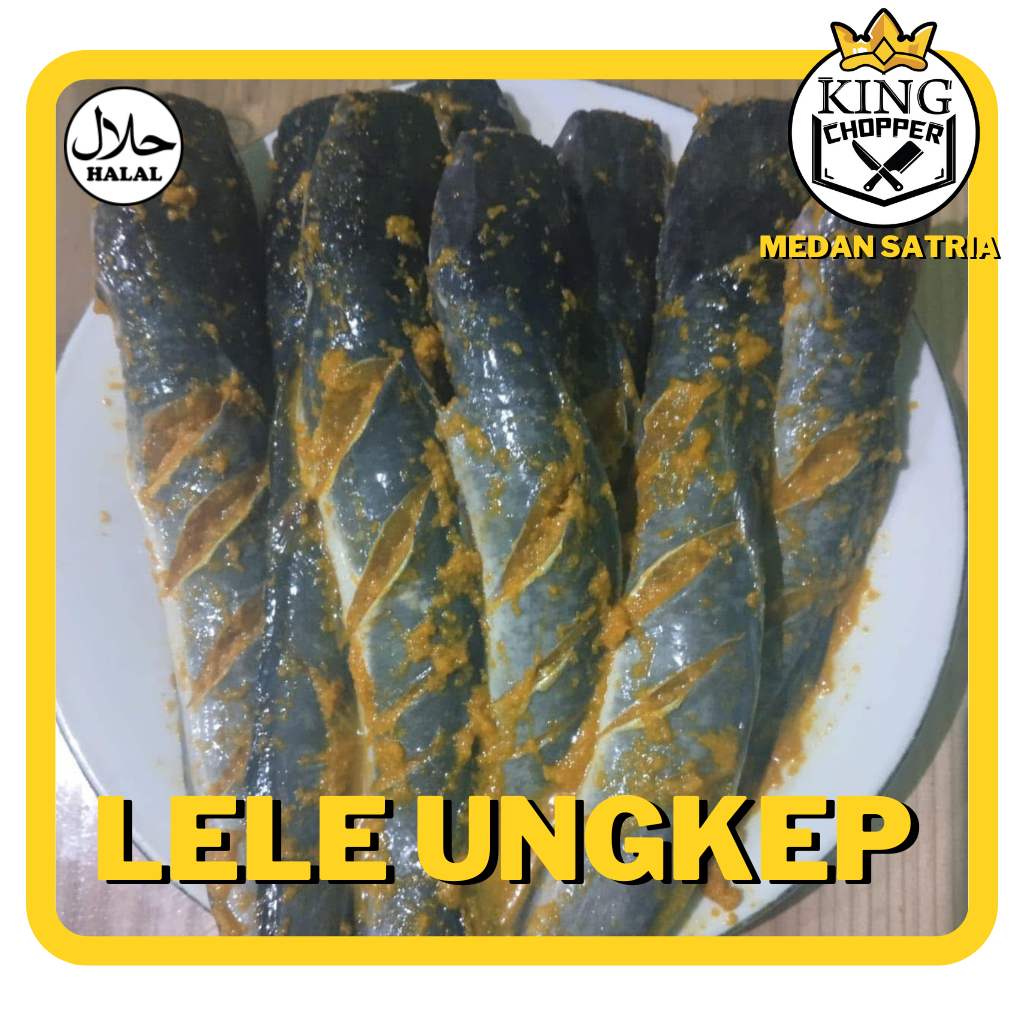 Jual LELE UNGKEP BUMBU KUNING - HALAL SEGAR FROZEN FRESH BEKU | Shopee ...