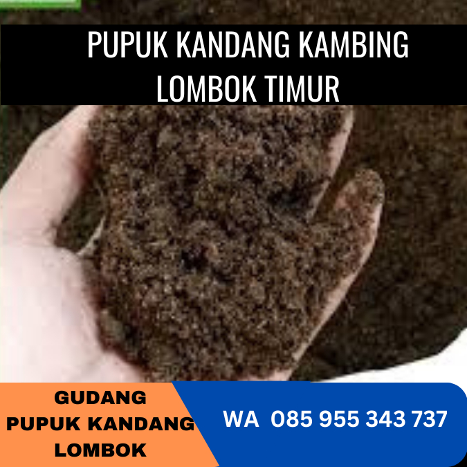 Jual 1KG PUKAN / PUKAN KAMBING /PUPUK KANDANG / PUPUK KANDANG KAMBING ...