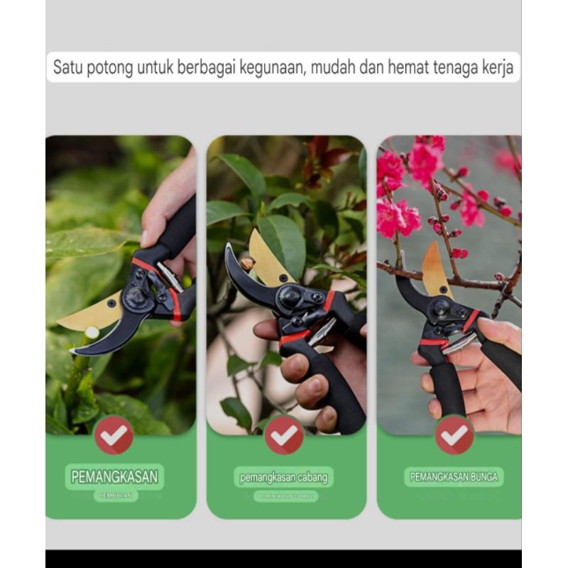 Jual Gunting Ranting Pohon Terlengkap & Harga Terbaru Mei 2026 | Shopee ...