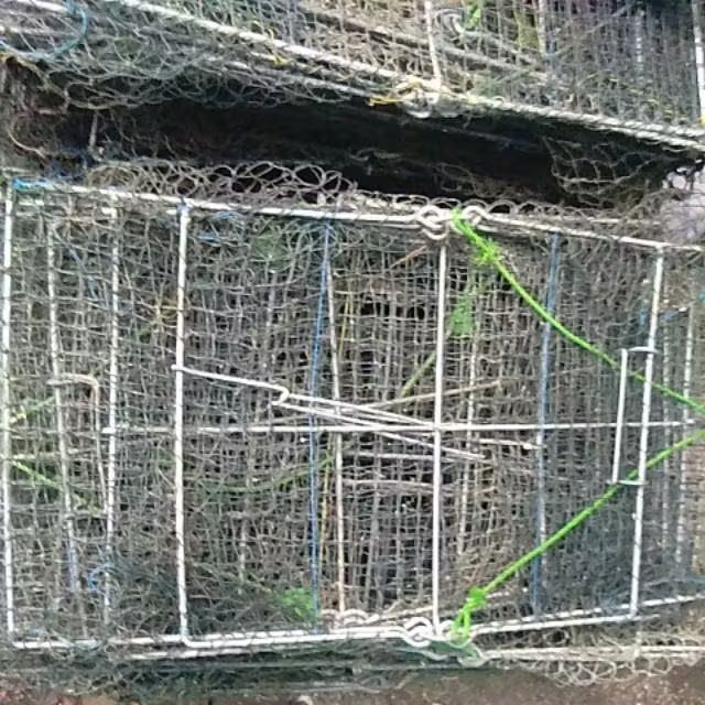 Jual Perangkap kepiting rajungan(bubu)bekas | Shopee Indonesia