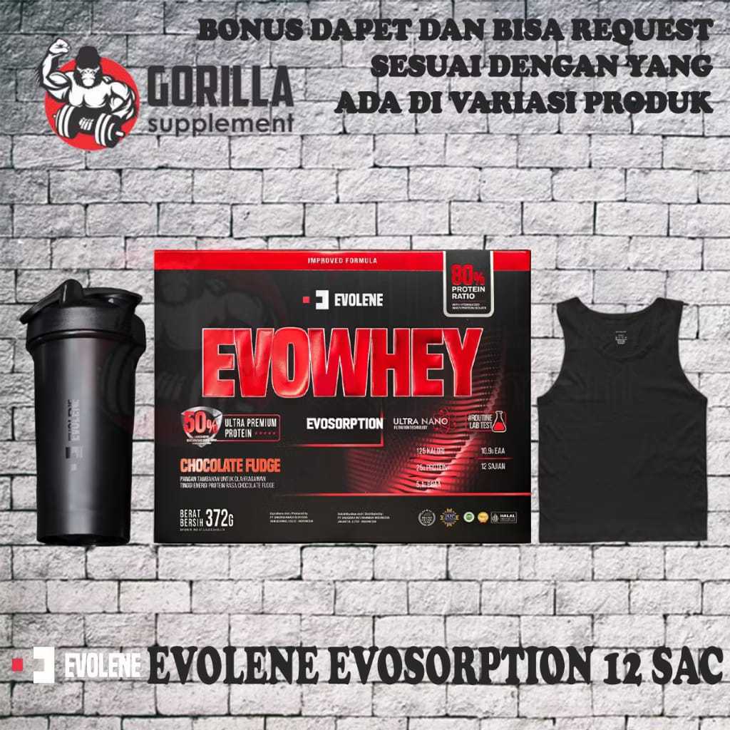 Jual EVOLENE Whey Protein 12 Sachet 372 Gram EVOWHEY - Whey Protein Concentrate Isolate ...