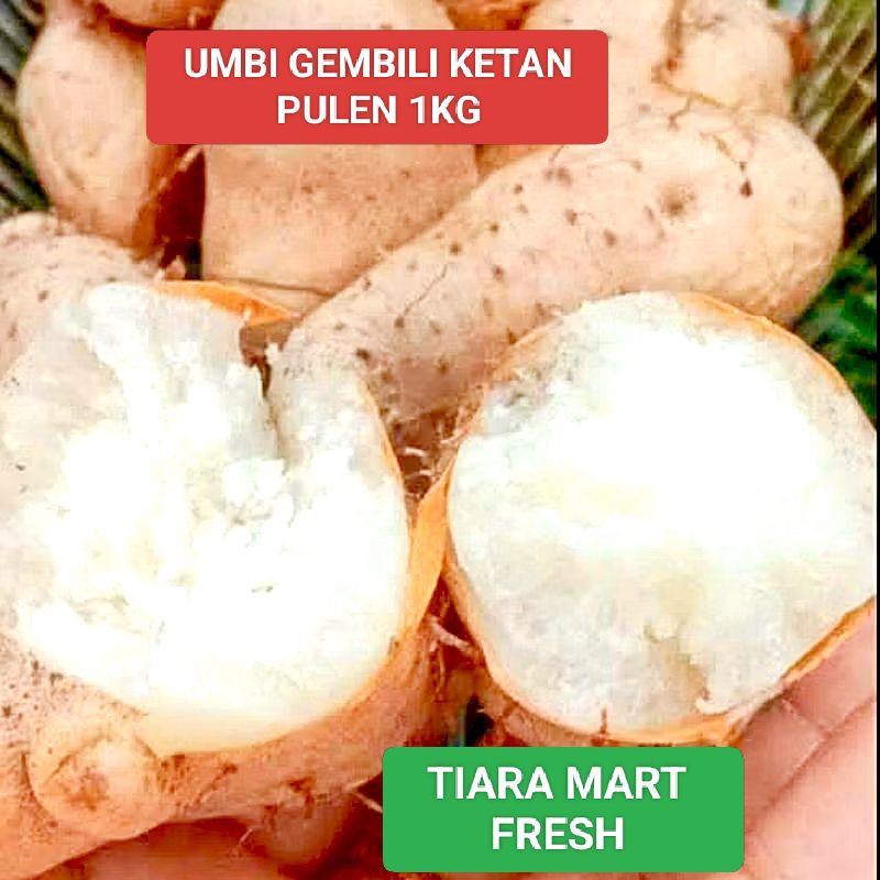 Jual UMBI GEMBILI PULEN 1KG/ GEMBILI KETAN GURIH BEBAS GULA | Shopee ...