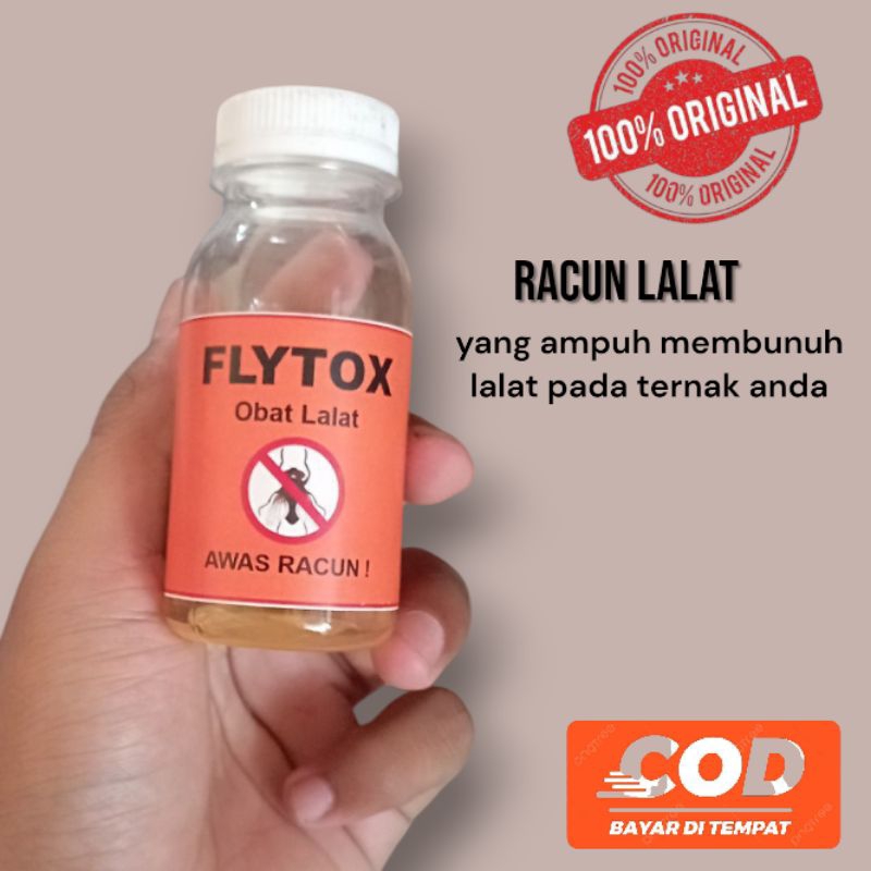 Jual Racun lalat flytox | Shopee Indonesia