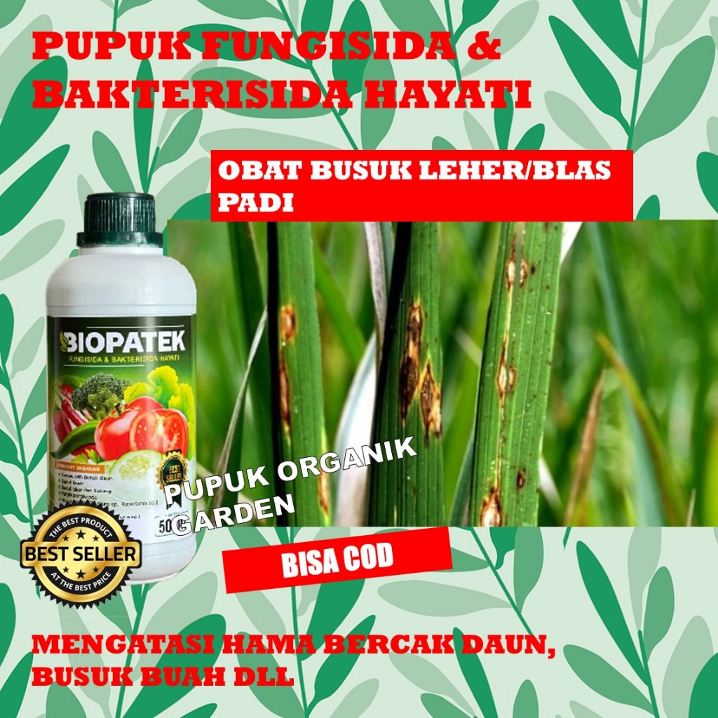 Jual PUPUK PALING BAGUS BIOPATEK Mengobati Blas Dan Patah Leher Pada ...