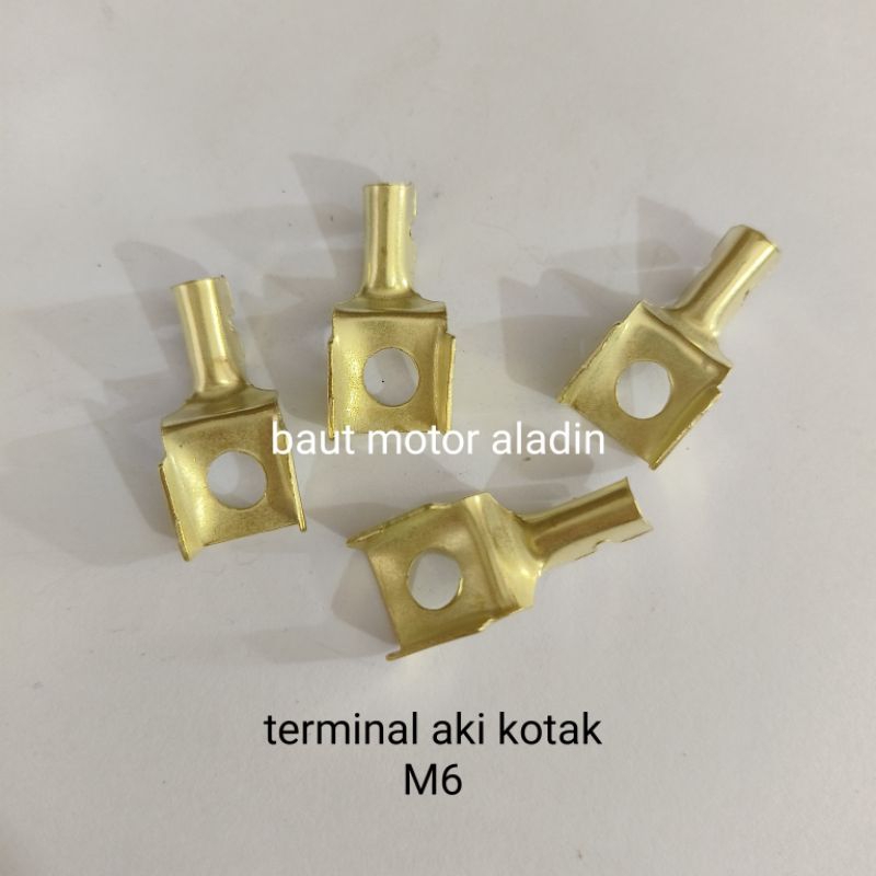 Jual Terminal aki kotak 10/M6 (1 pcs) | Shopee Indonesia