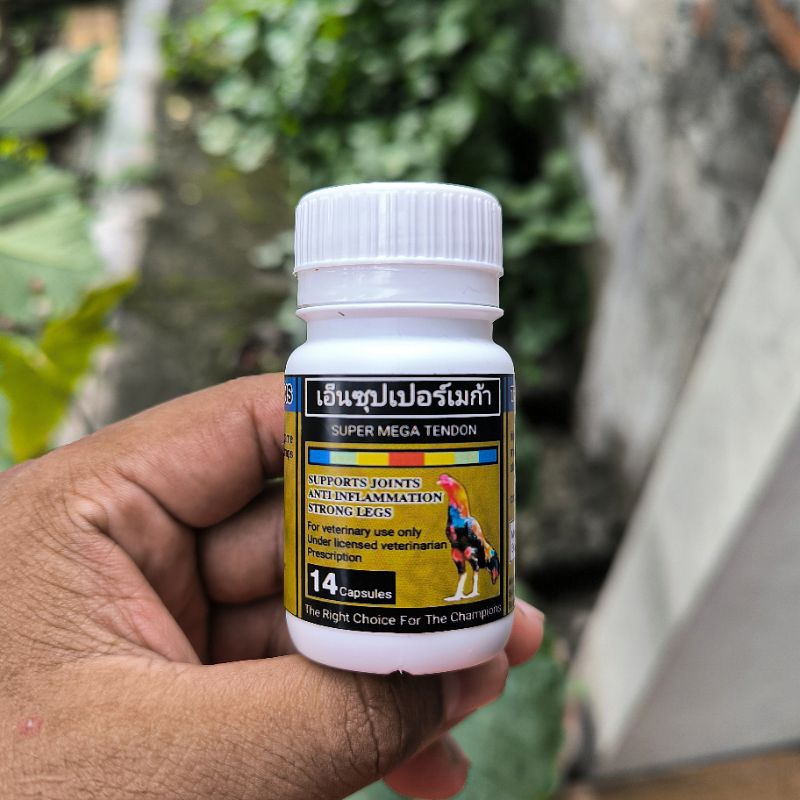 Jual Obat Ayam Turun Urat Super Mega Tendon Obat Ayam Turun Urat Lumpuh ...