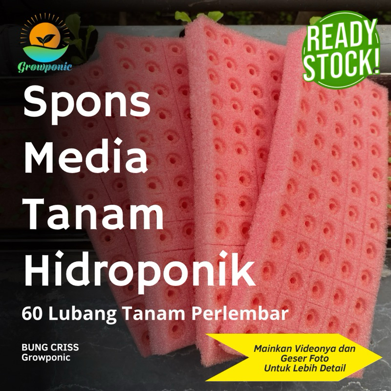 Jual Spons Media Tanam Hidroponik 60 Lubang Alternatif Rockwool - Papan ...