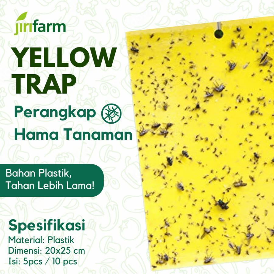 Jual Yellow Trap Perangkap Hama Lem Kuning perangkap hama isi 10 Lembar ...