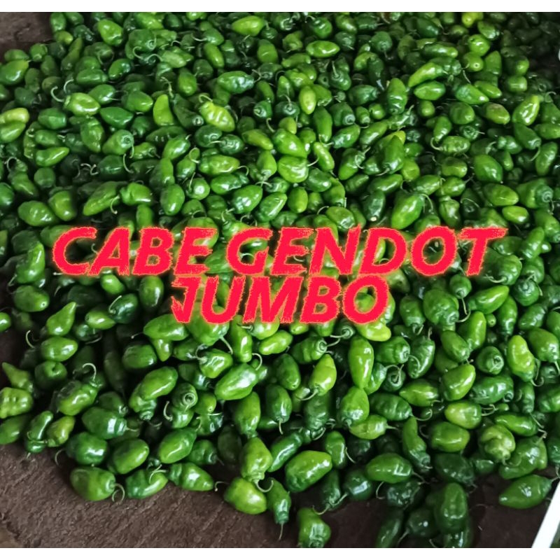 Jual cabe gendot fresh JUMBO | Shopee Indonesia