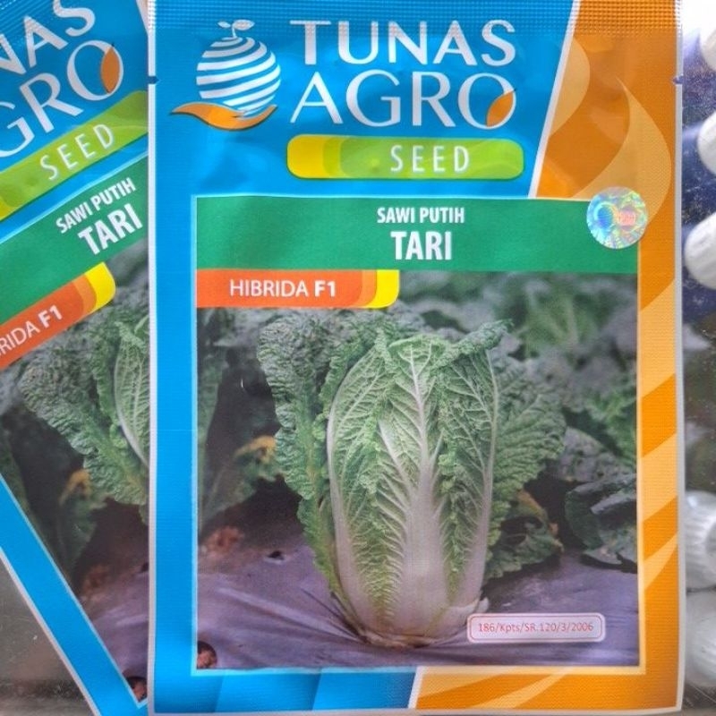 Jual Benih sawi putih TARI 10gr, sawi putih hibrida f1 tunas agro seed ...