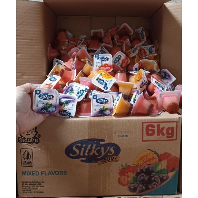 Jual Silky Pudding 2 Lapis 1 dus isi 6kg | Shopee Indonesia
