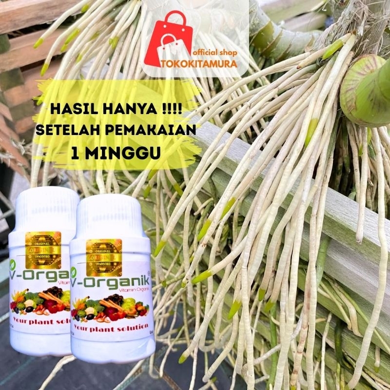 Jual Pupuk Anggrek Pupuk tanaman hias perangsang akar dan bunga untuk ...