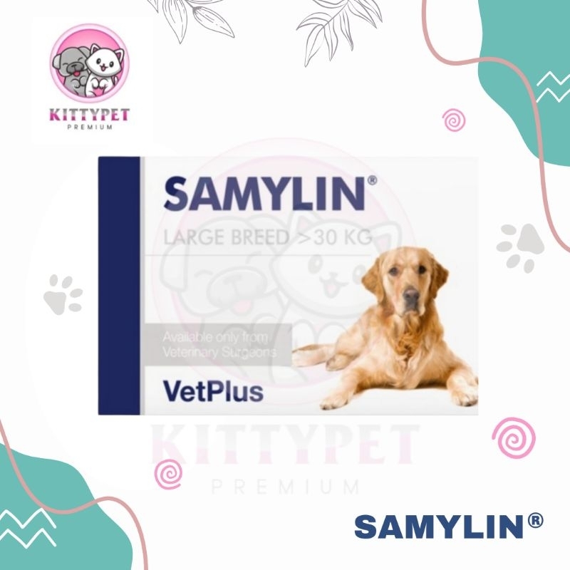 Jual VetPlus Samylin Large breed kemasan 1 box (3 Strip = 30 Tablet) | Shopee Indonesia