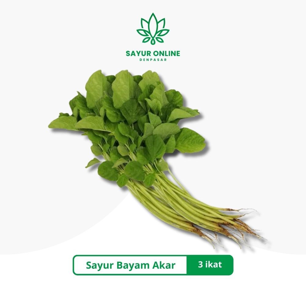 Jual Sayur Bayam Akar 3 Ikat - Sayur Online Denpasar | Shopee Indonesia