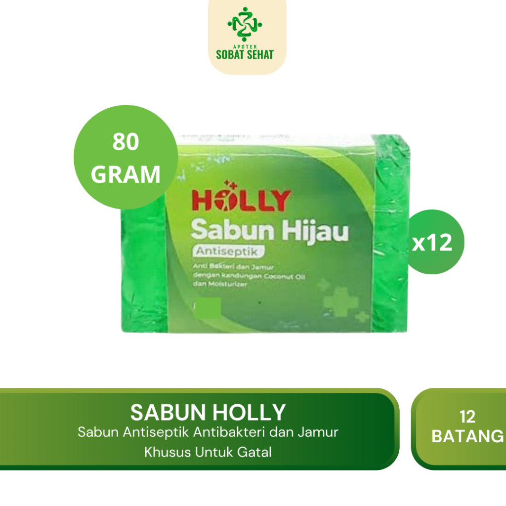 Jual [12 PCS LEBIH HEMAT] Holly Sabun Hijau 80gr Antiseptik Anti ...