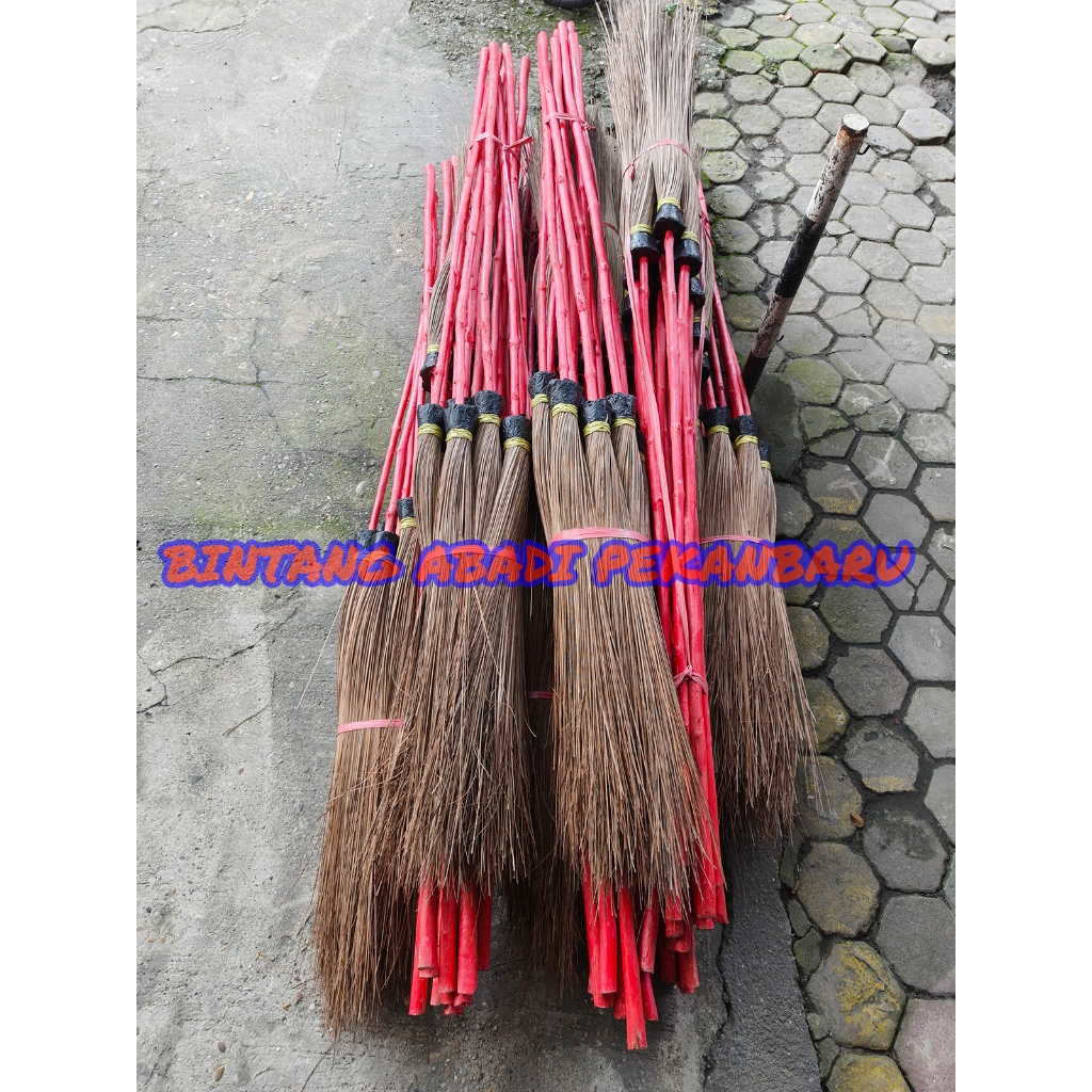 Jual Sapu Lidi Gagang Panjang / Sapu Lidi Jalan / Sapu Halaman Sapu ...