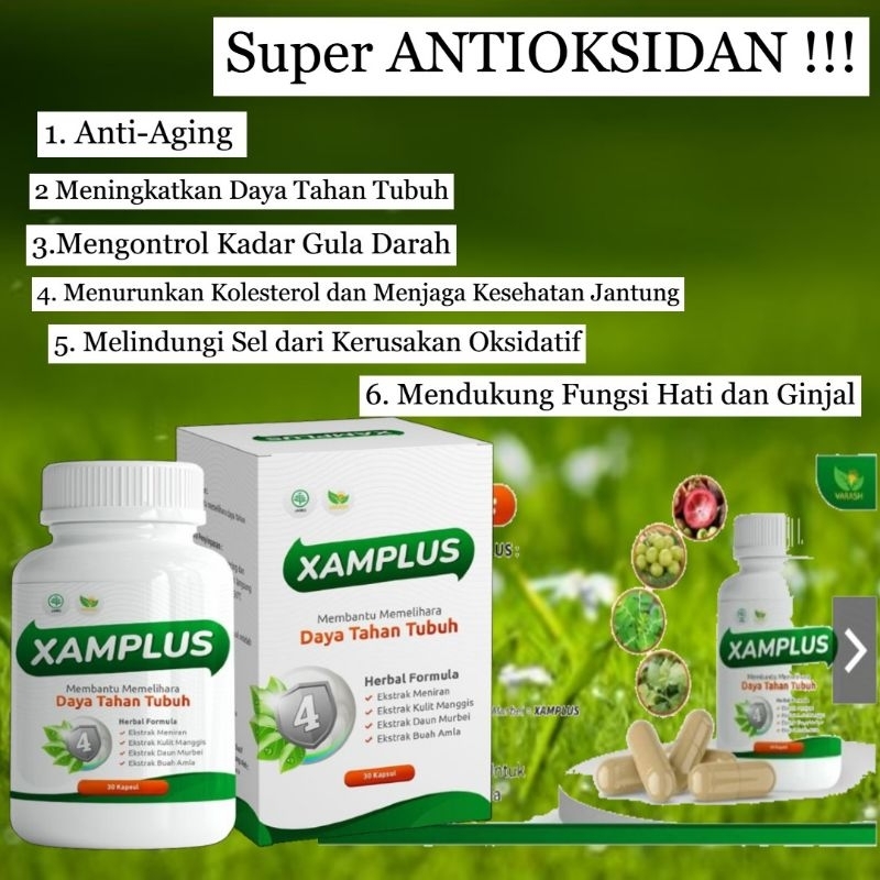 Jual Suplemen Super Antioksidan (Special Gift : 4 butir kapsul + free ...