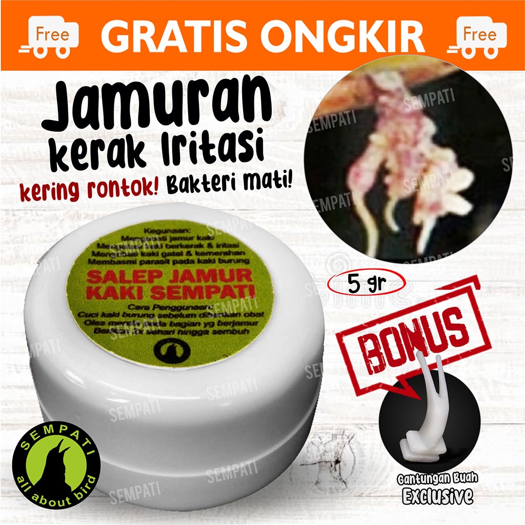 Jual SEMPATI SALEP JAMUR SEMPATI VITAMIN OBAT OLES KAKI BURUNG BENGKAK ...