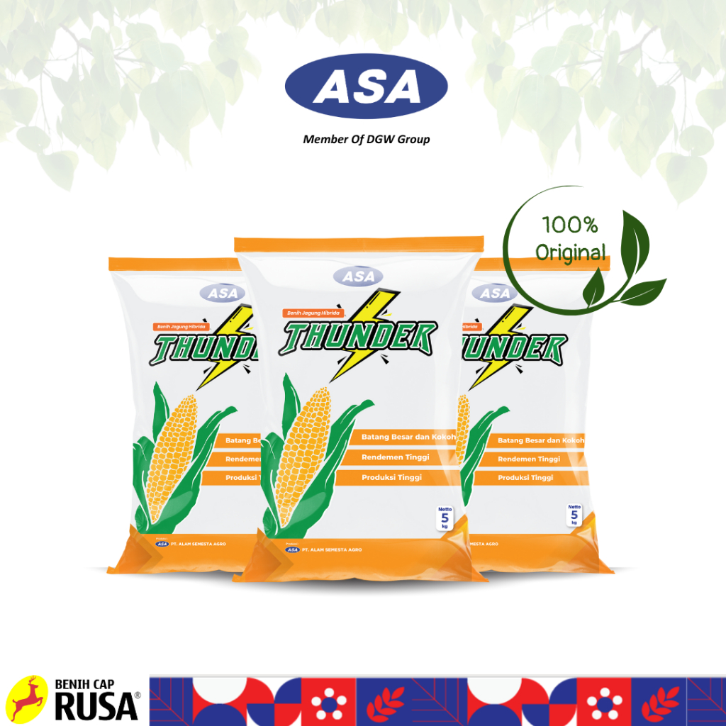Jual BENIH JAGUNG PIPIL - THUNDER ASA l KEMASAN 5 KG | Shopee Indonesia