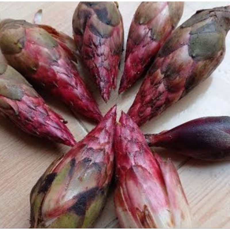 Jual Buah galoba segar buah pining bawang segar 1 kg-az | Shopee Indonesia