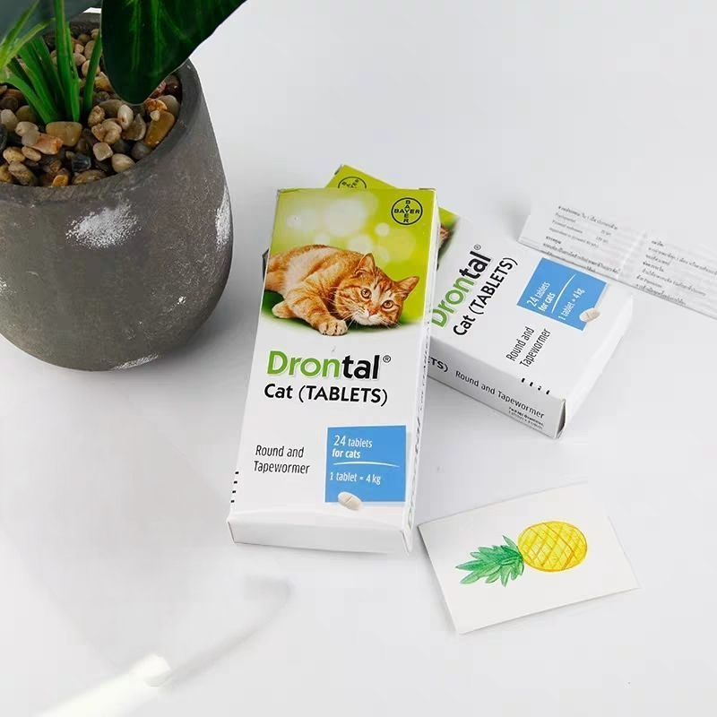 Jual Obat Cacing Drontal Terlengkap & Harga Terbaru Juni 2026 | Shopee ...