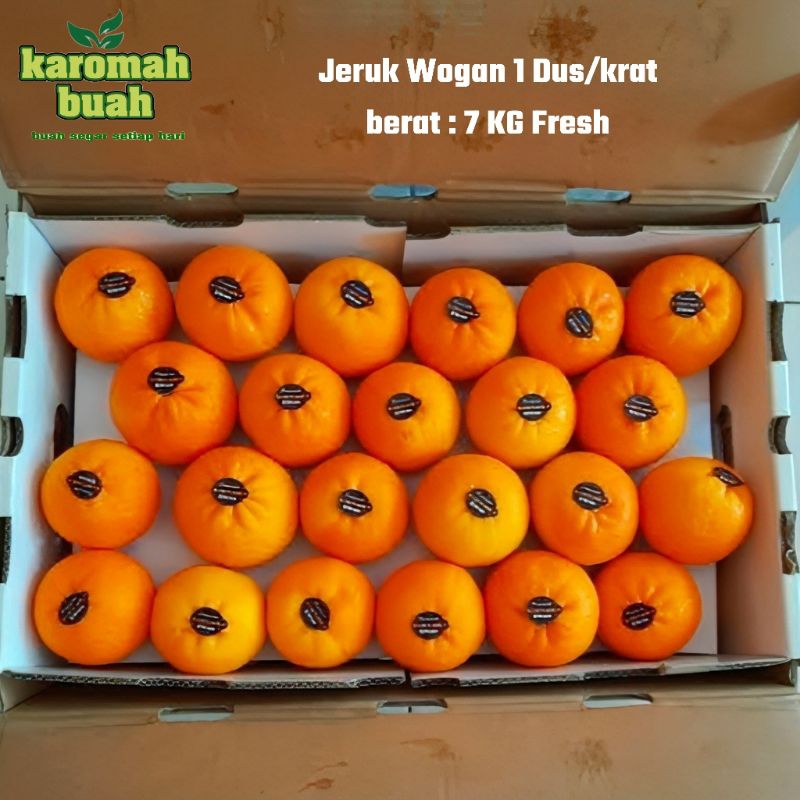 Jual JERUK WOGAN 1 KRAT BERAT 7KG FRESH MANIS ( JERUK WOGAN WOKAM ...