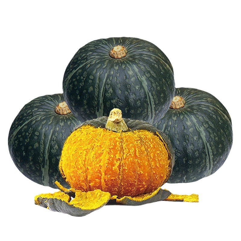 Jual (22 Biji) Benih Labu Kastanye Manis Labu Hitam Japan Pumpkin F1 ...