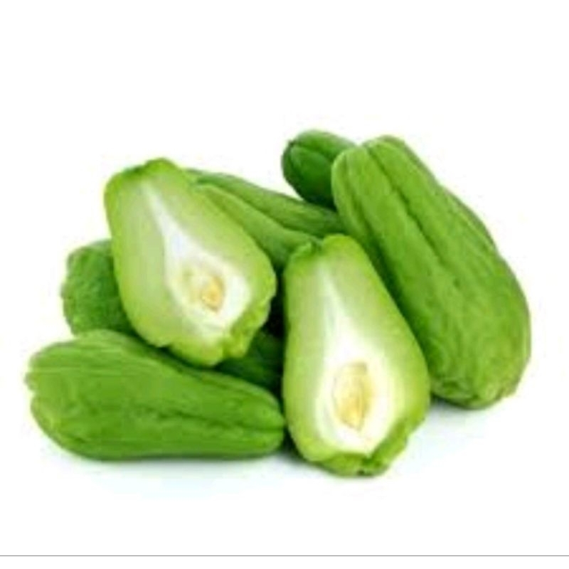 Jual buah labu Siam muda segar untuk sayur dan masakan lain harga ...