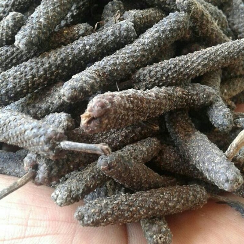 Jual Cabe Lempuyang Cabe Jamu Kering Kemasan 100gr Asli Dari Petani ...