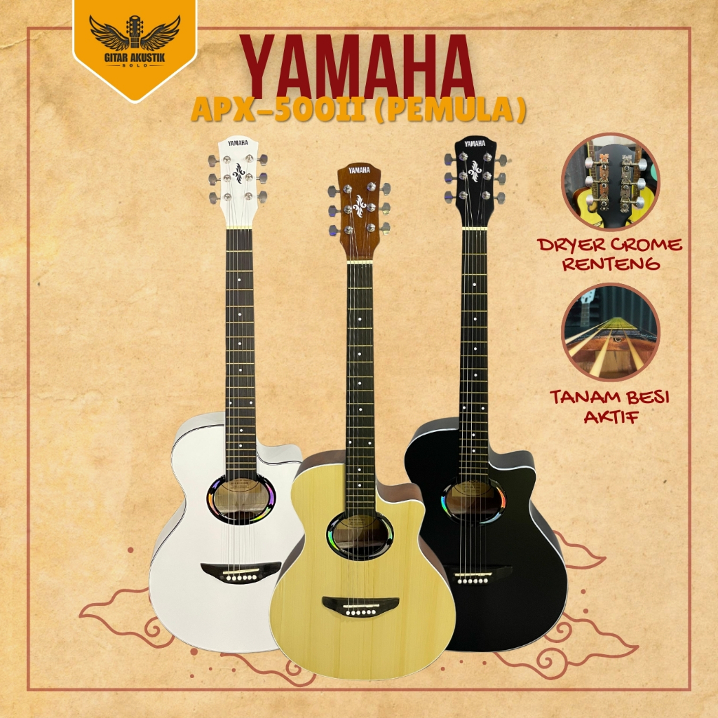 Jual COD - Gitar APX Tanam Besi Custom / Gitar APX Pemula Tanam Besi ...