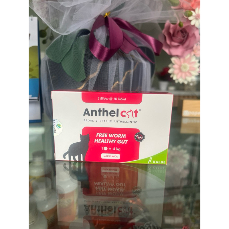 Jual Anthel Cat (Pengganti Drontal Cat) 1 Strip isi 10 ORIGINAL ...