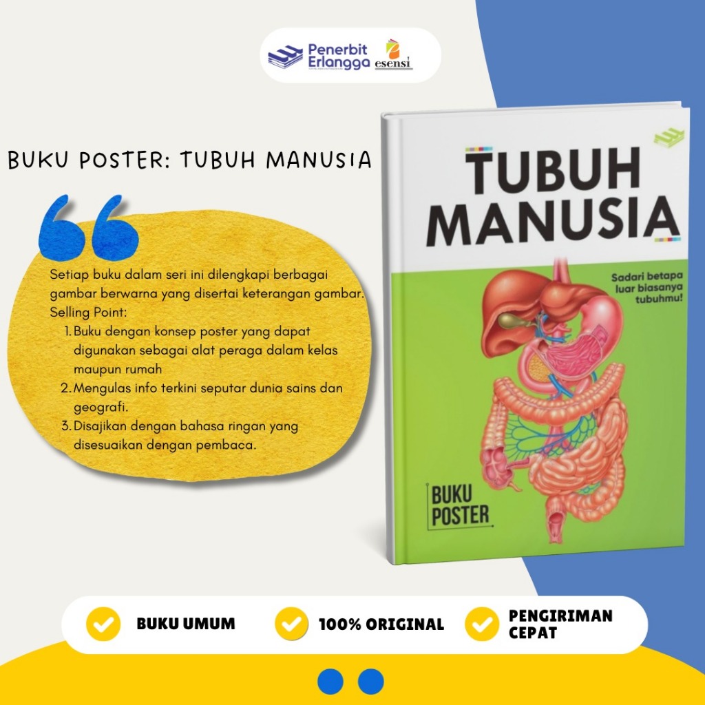 Jual [Erlangga Official] Poster Edukasi: Cara Kerja Organ Pencernaan: Tubuh Manusia | Shopee ...