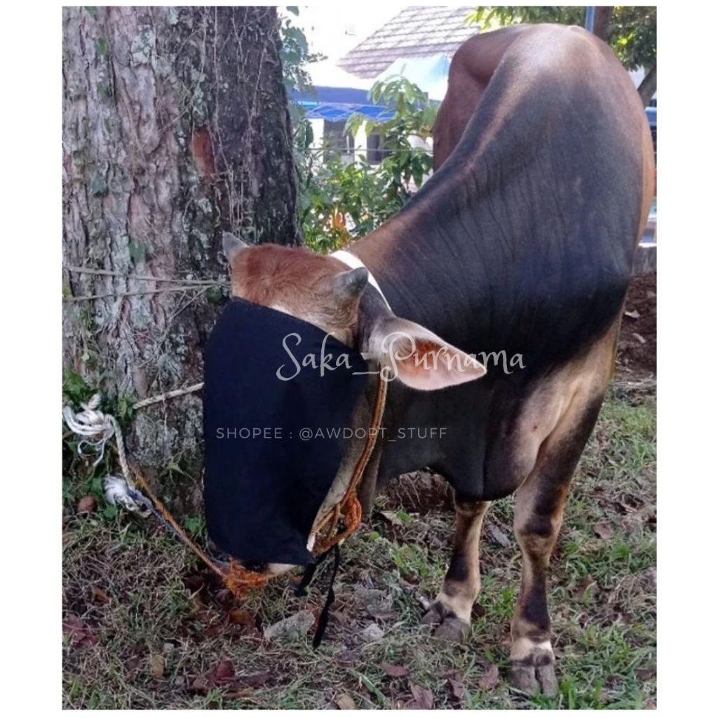 Jual Penutup mata Sapi (Blind Cow) & Kambing Polos warna Hitam | Shopee ...