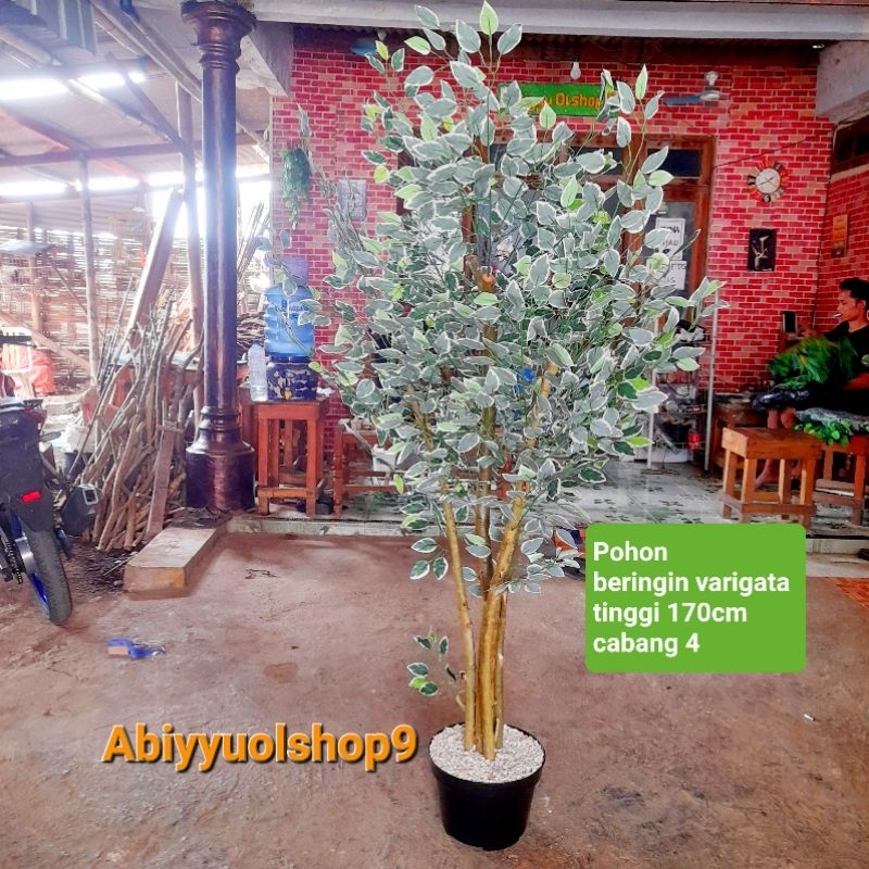 Jual NEW ARRIVAL Pohon Hias Artificial Beringin Varigata 4 batang pohon ...