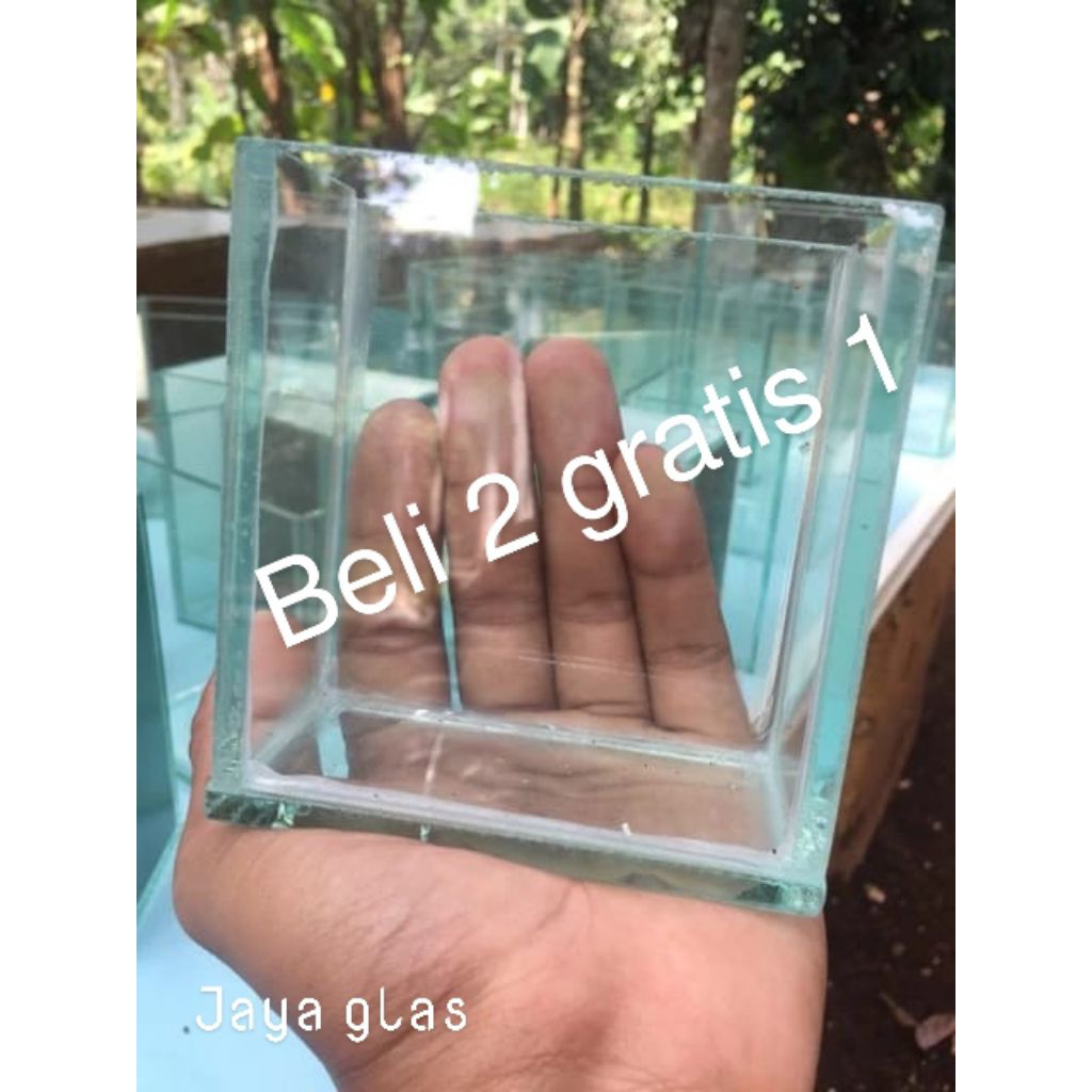 Jual Soliter cupang soliter ikan cupang soliter Selfi aquarium mini ...