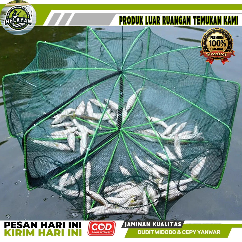 Jual Sangkar Ikan Sangkar Udang Lobster Lele Jaring Nilon Jaring Ikan 6 ...