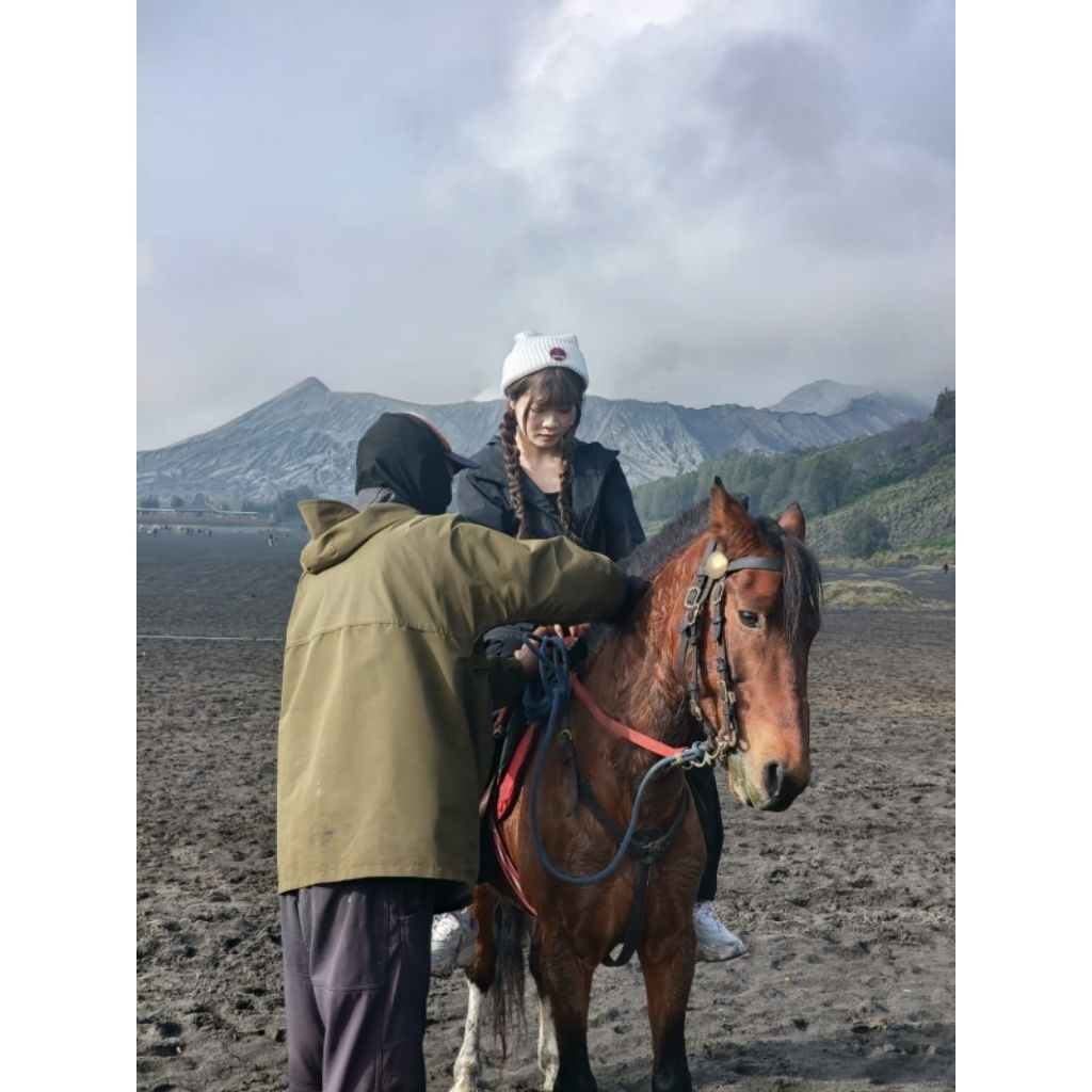 Jual SEWA KUDA DI GUNUNG BROMO | Shopee Indonesia