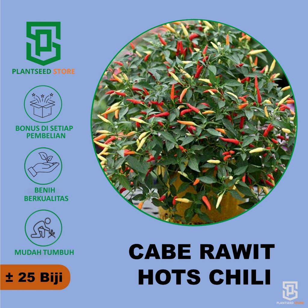 Jual PlantSeed - 25 Benih Bibit Cabai Rawit Super Pedas Hots Chili ...