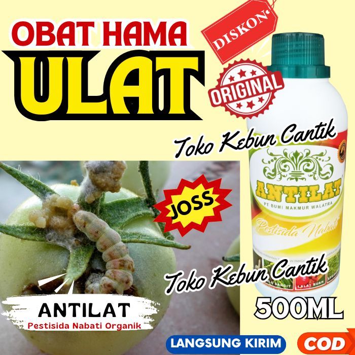 Jual Antilat 500ml ZPT Tanaman Pengusir Hama Tikus ULAT serangga kutu ...