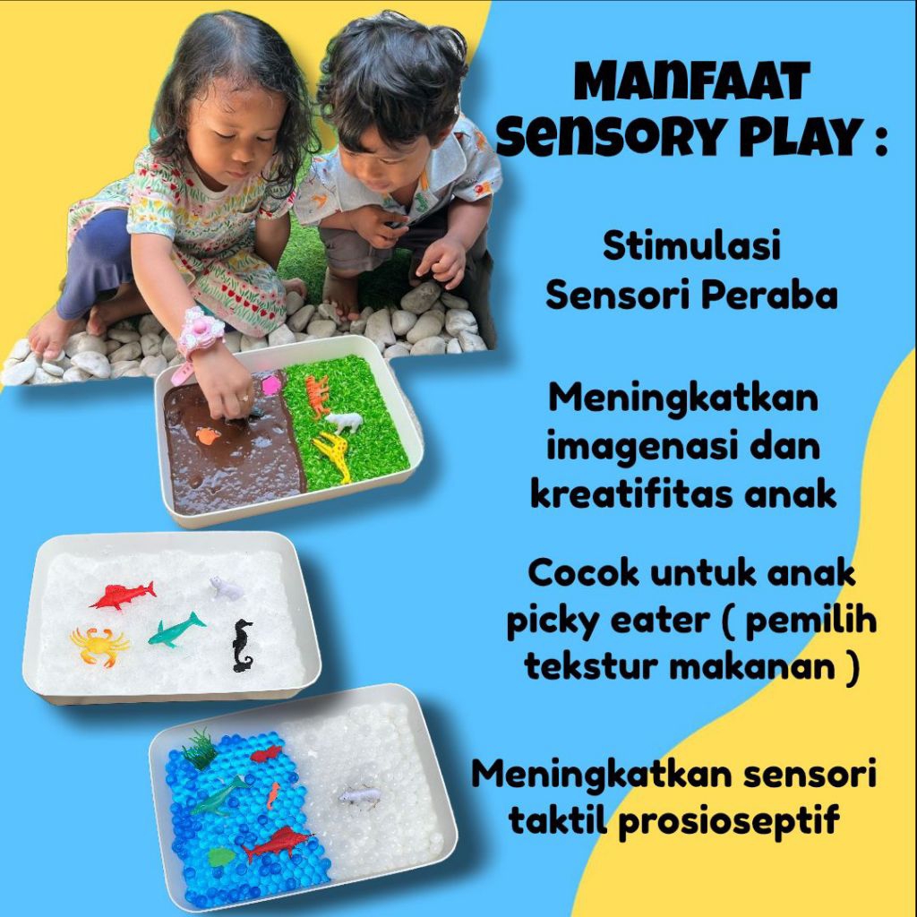 Jual Mainan Paket Sensory Play 5 Tema Mainan Edukasi Sensori Anak ...