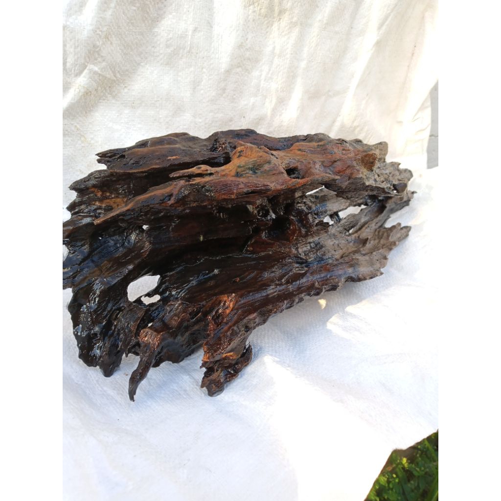 Jual kayu rentek atau posil kualitas super sudah tenggelam 60x16 cm ...