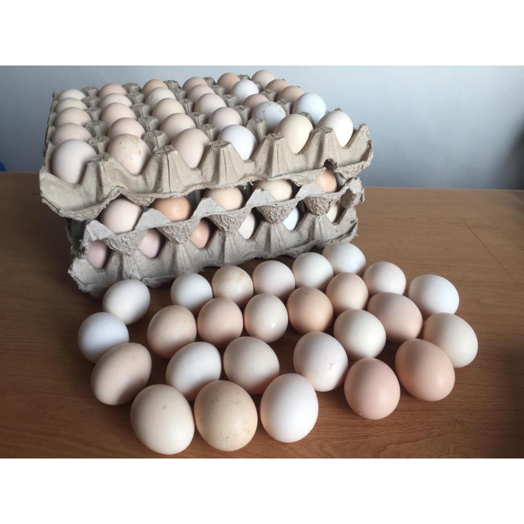 Jual Telur Ayam Kampung Asli 30 Butir | Shopee Indonesia